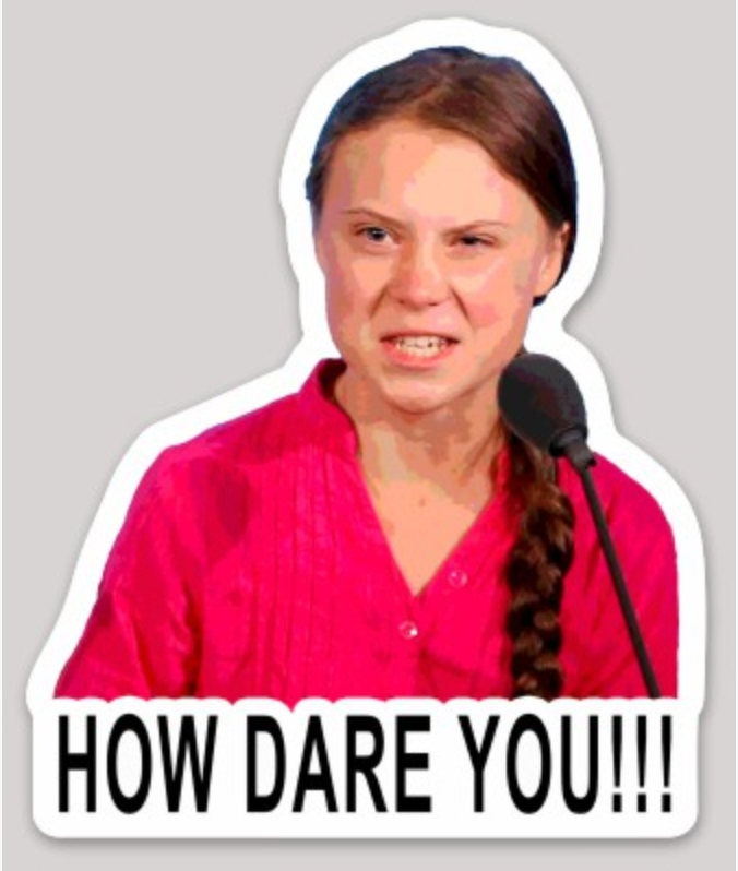 Buy Thunberg How Dare You Sticker Patch | MarinePatches.com ...
